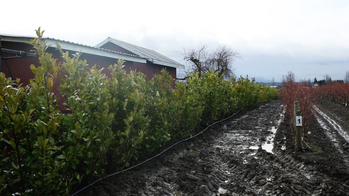 Environmental Farm Plan: Glen Valley Organic Farm Co-operative ...