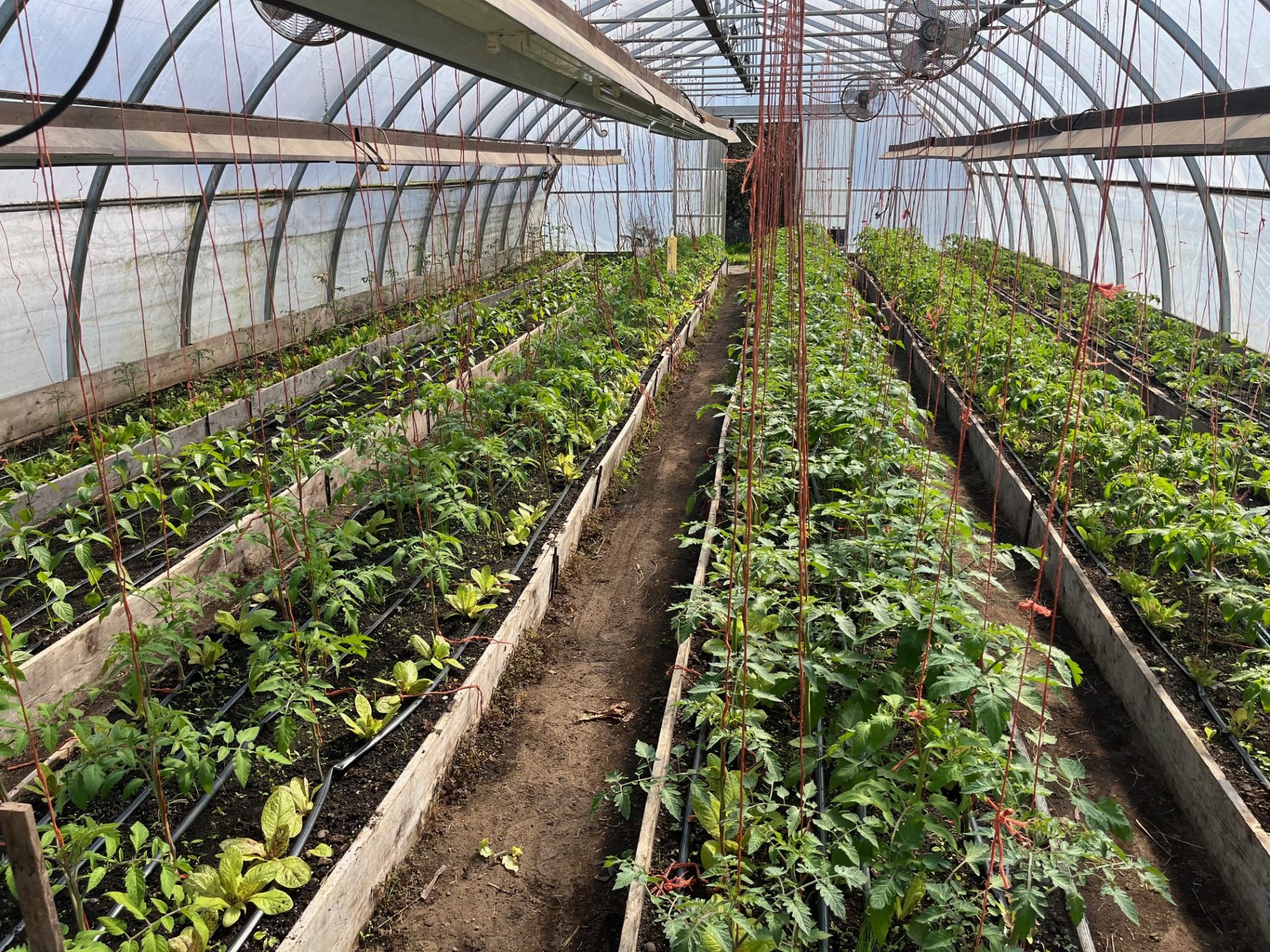 Infrastructure Upgrades Make Big Impact for Small-Scale Pemberton Farm ...