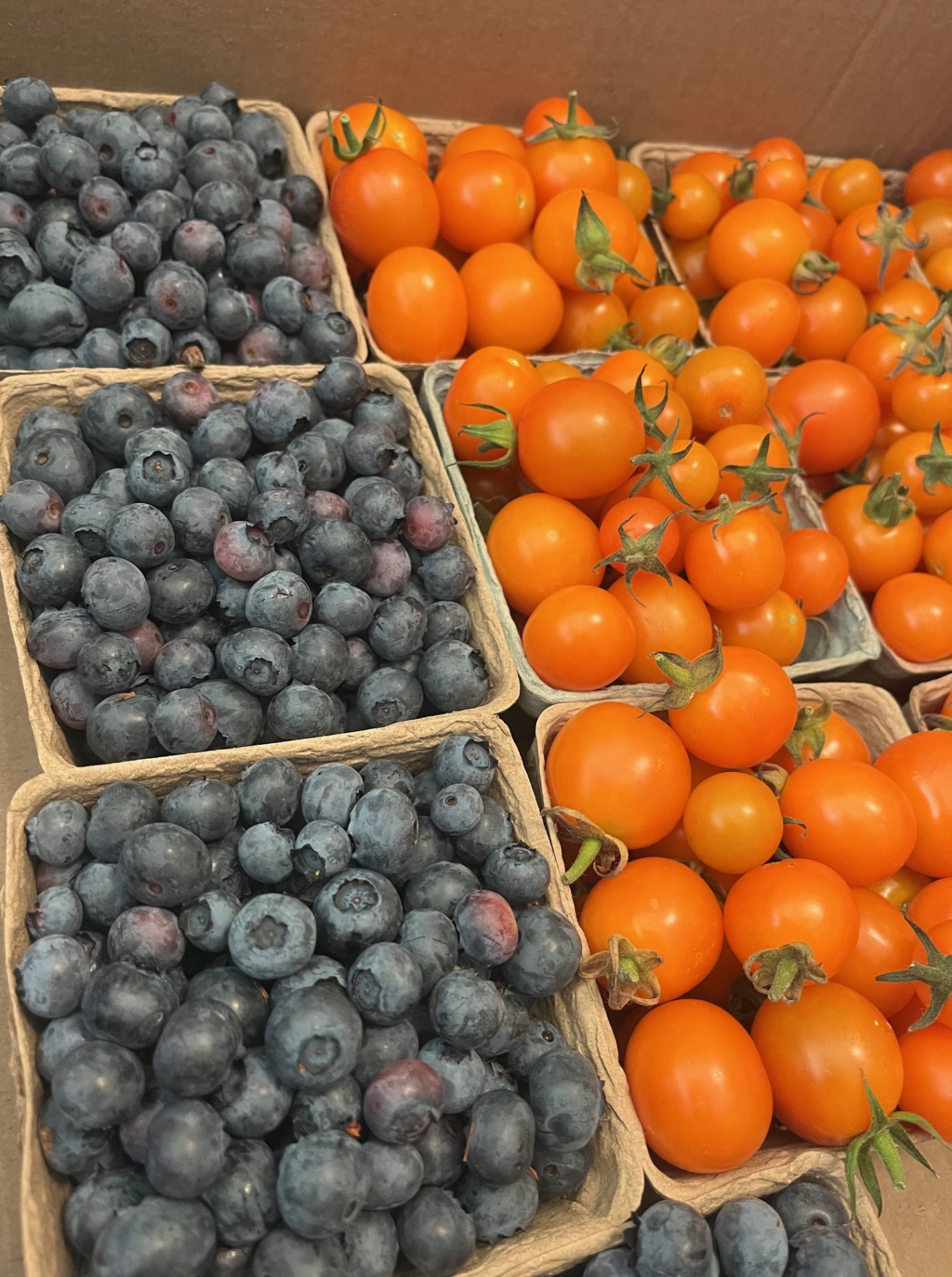 Infrastructure Upgrades Make Big Impact for Small-Scale Pemberton Farm ...